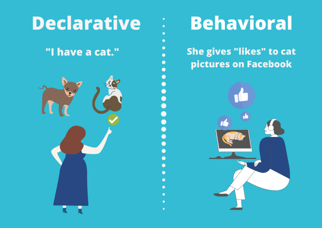 Truth Be Told The Era Of Declarative Data Segmanta